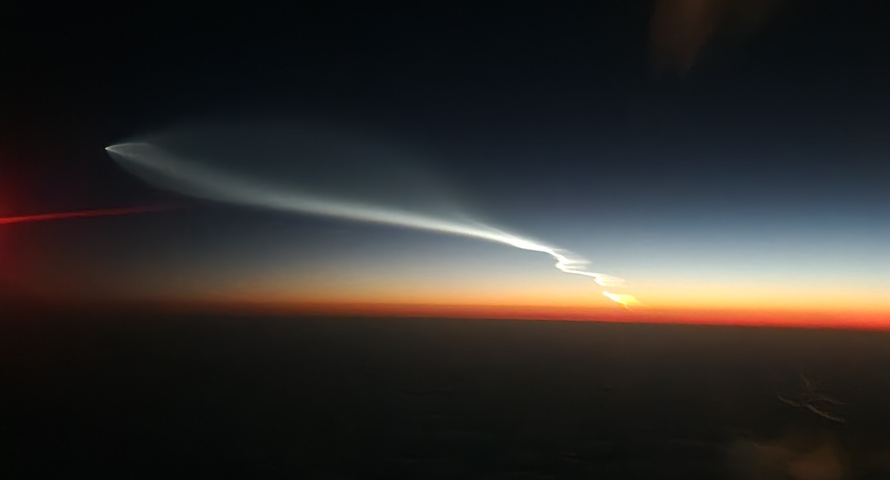 Meaty Mold | Throat Printing | Operation Oink