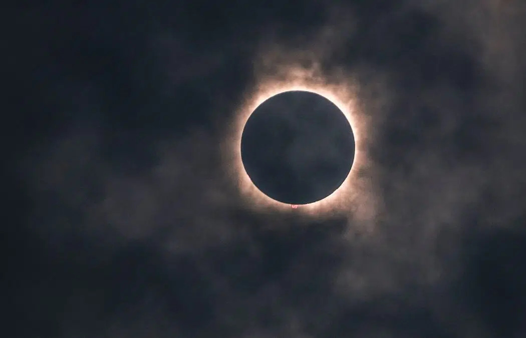 🦬 Parks, Pics, Chips & Eclipse