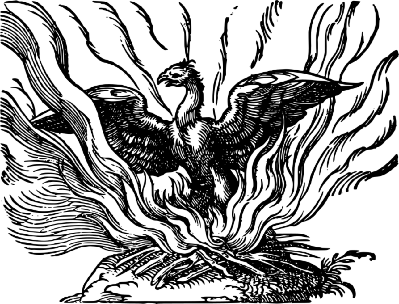 A nest of aromatic boughs and spices