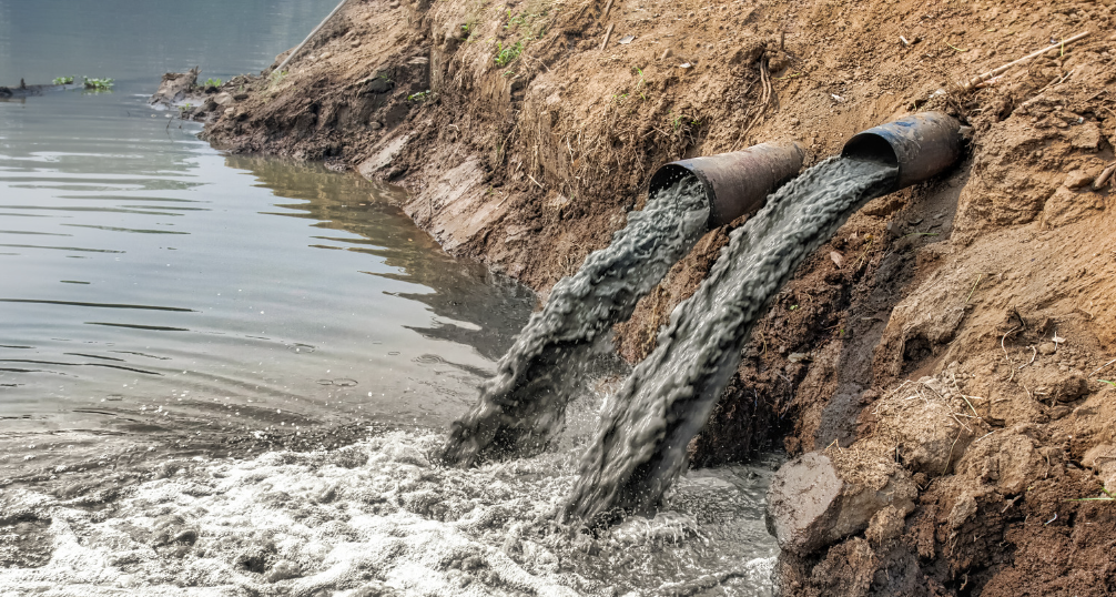 Understanding Water Pollution: Causes, Effects, and Solutions