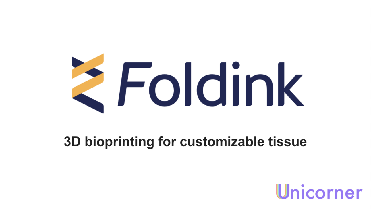 FoldInk