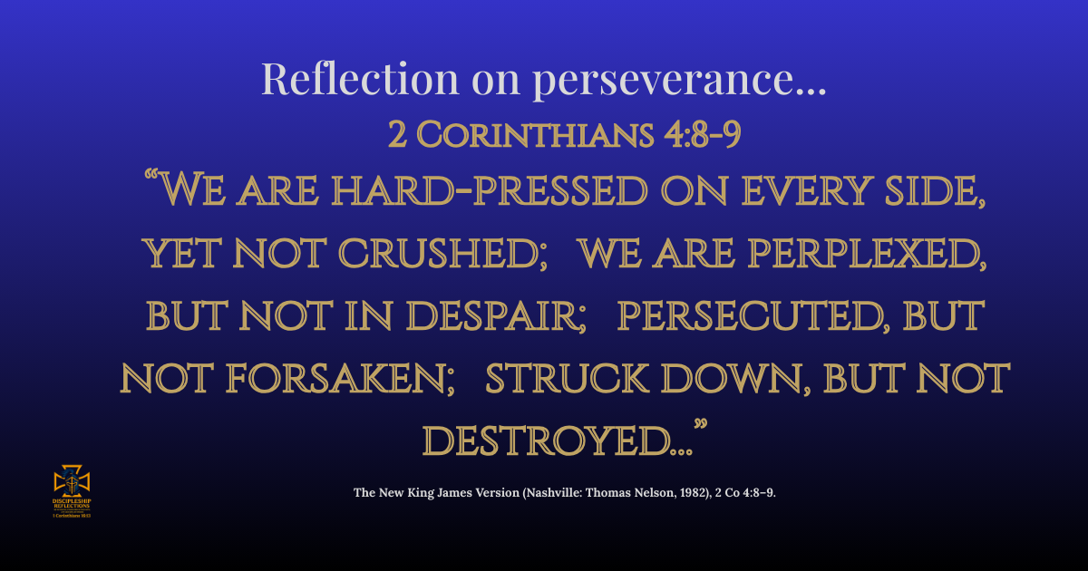 Reflection on perseverance...