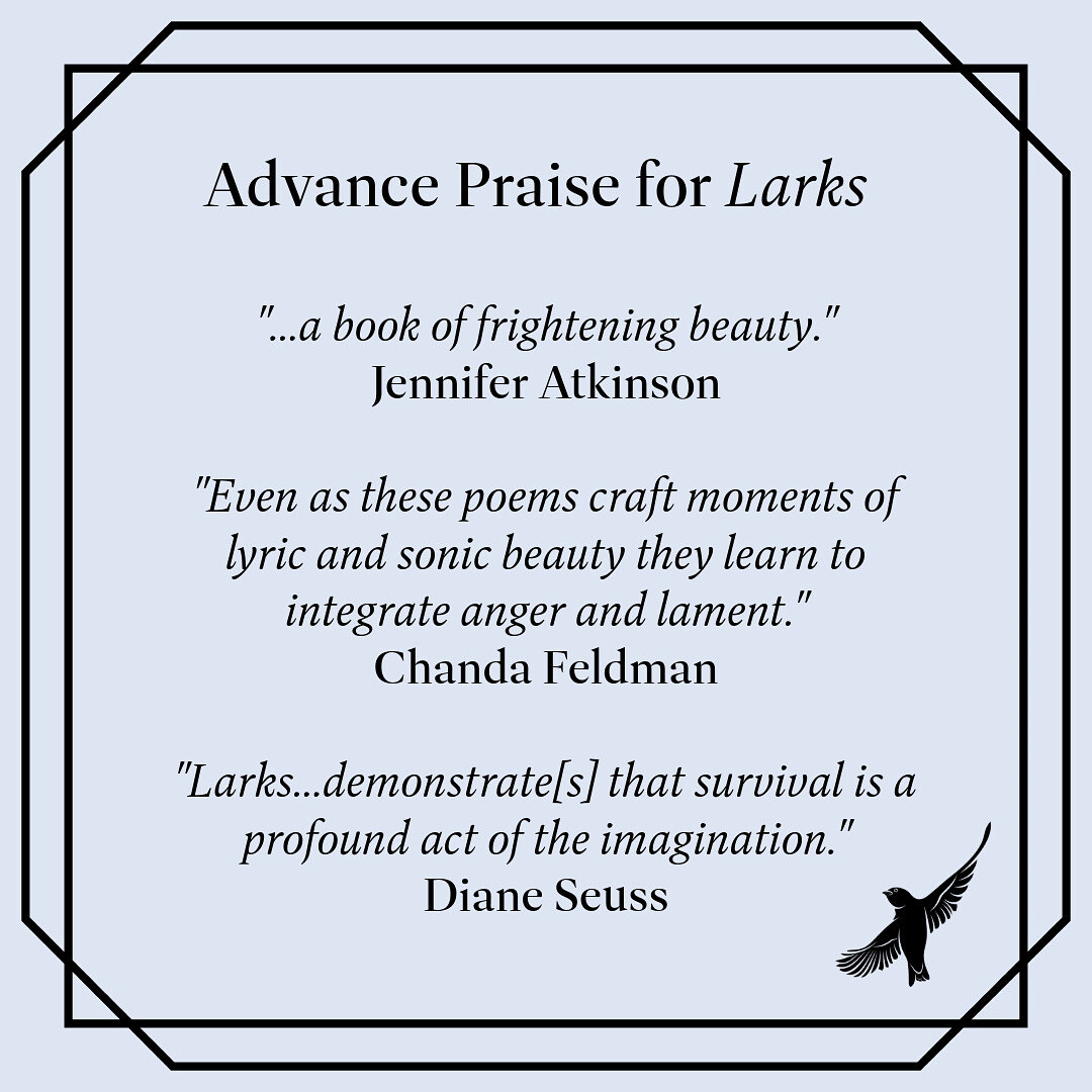 Larks, forthcoming Spring 2025 (Ohio University Press)