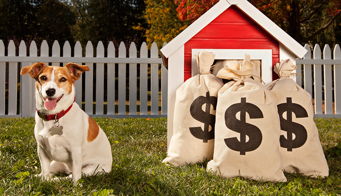 IRS to Allow Tax Deductions for Pets in 2025