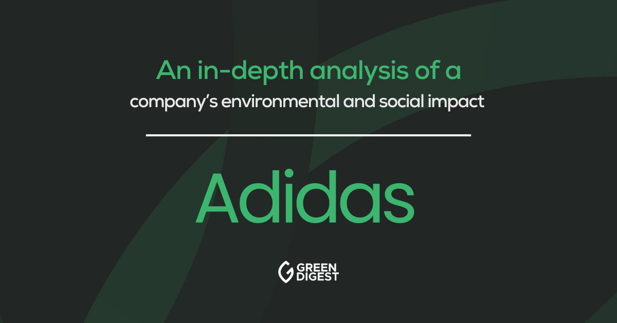 Evaluating a company's impact (the case of Adidas)