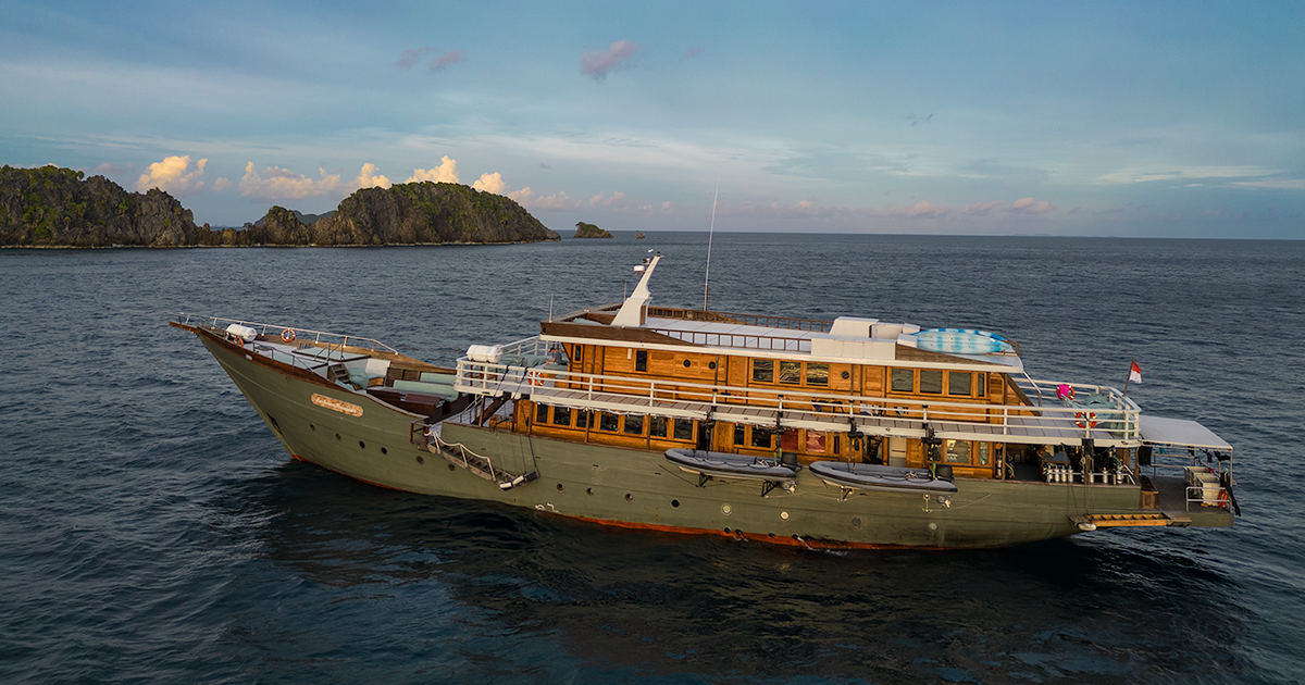 Emperor Harmoni Liveaboard Review: Diving Adventure in Indonesia's Reefs