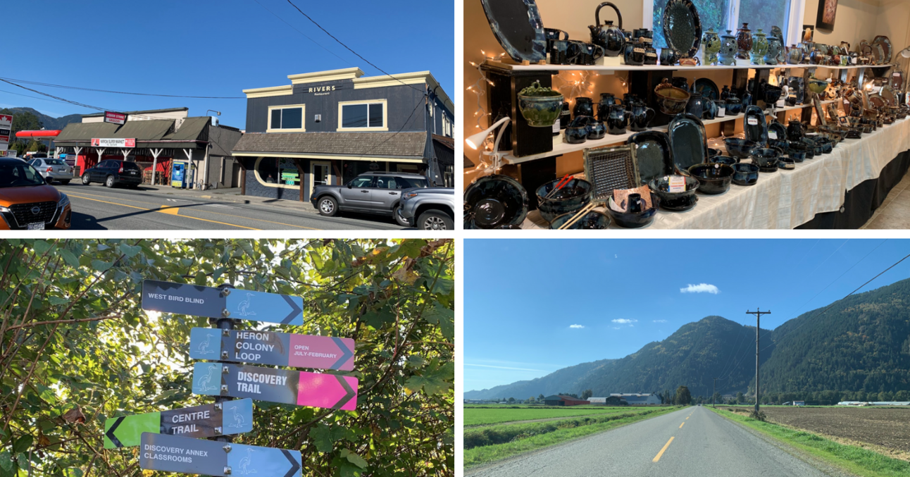 Pottery, parks and herons: an afternoon in Yarrow