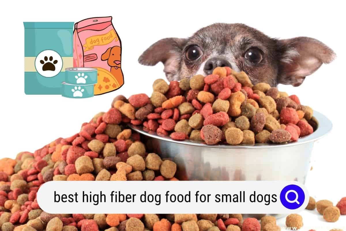 Best High Fiber Dog Food for Small Dogs (2024 Update)