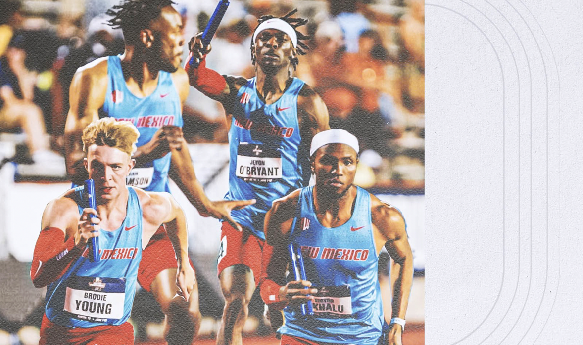 Lobos Brew 6/8: Cut To The Chase