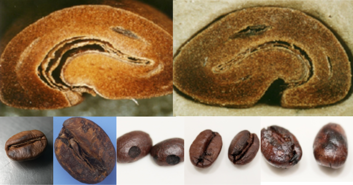 Mejorá tu tueste: Evitá estos 2 errores críticos