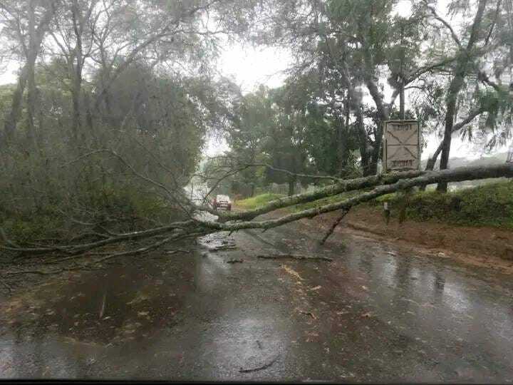 Media Council of Malawi Issues Guidelines for Ethical Reporting of ...