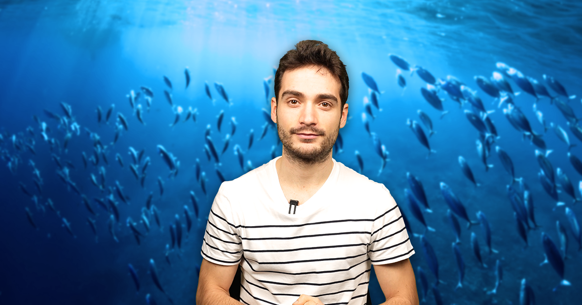 Et si... on mangeait enfin tout le poisson pêché en France