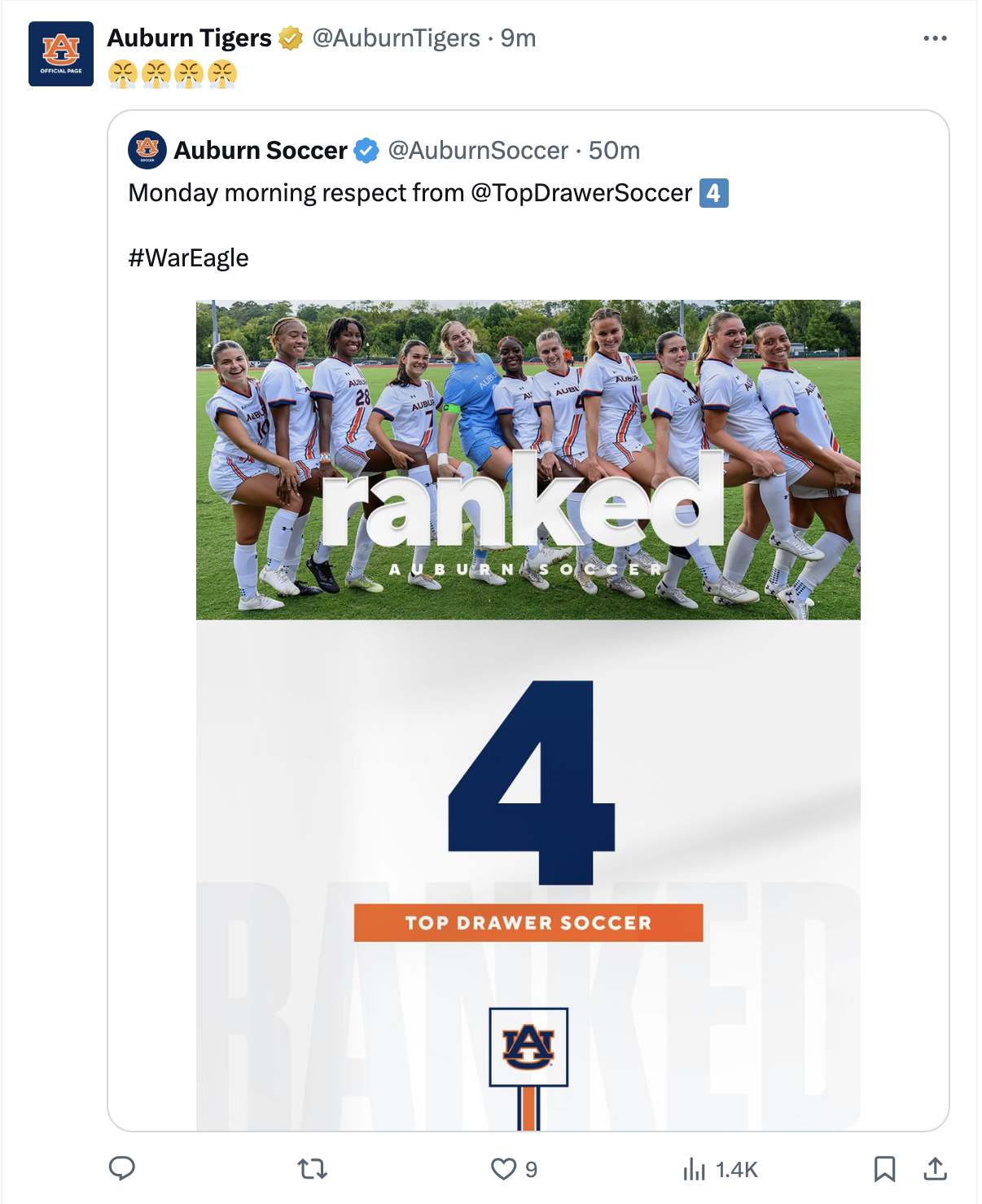 Bodda Getta Daily Brew 9/10: Pitch Positively Perfect