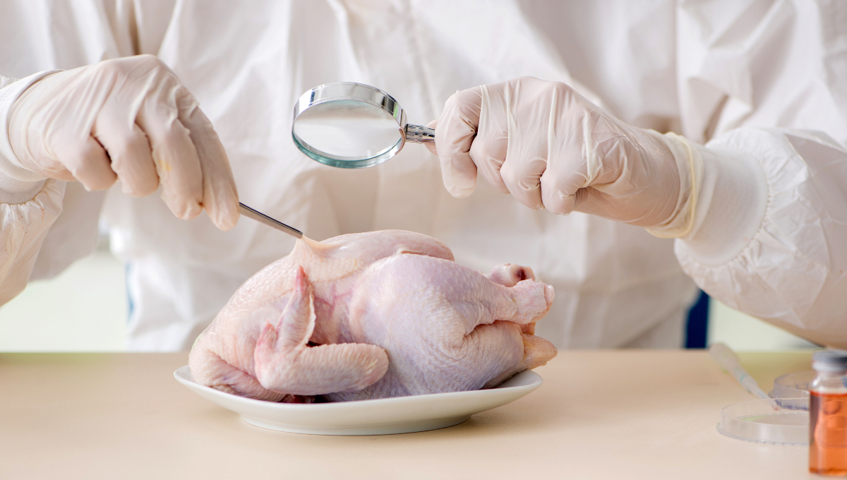 FDA, CDC Criticized Over Transparency; Chicken Industry Resists Food ...