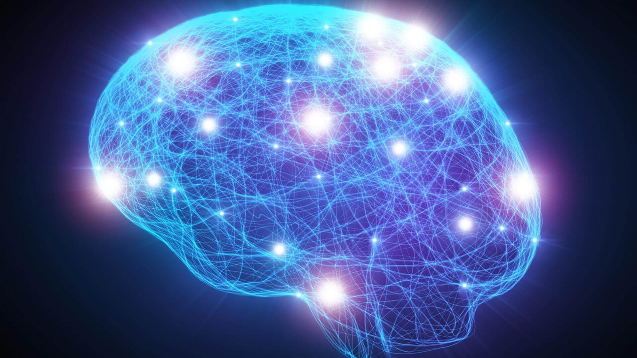 How Neuroplasticity Shapes Your Brain