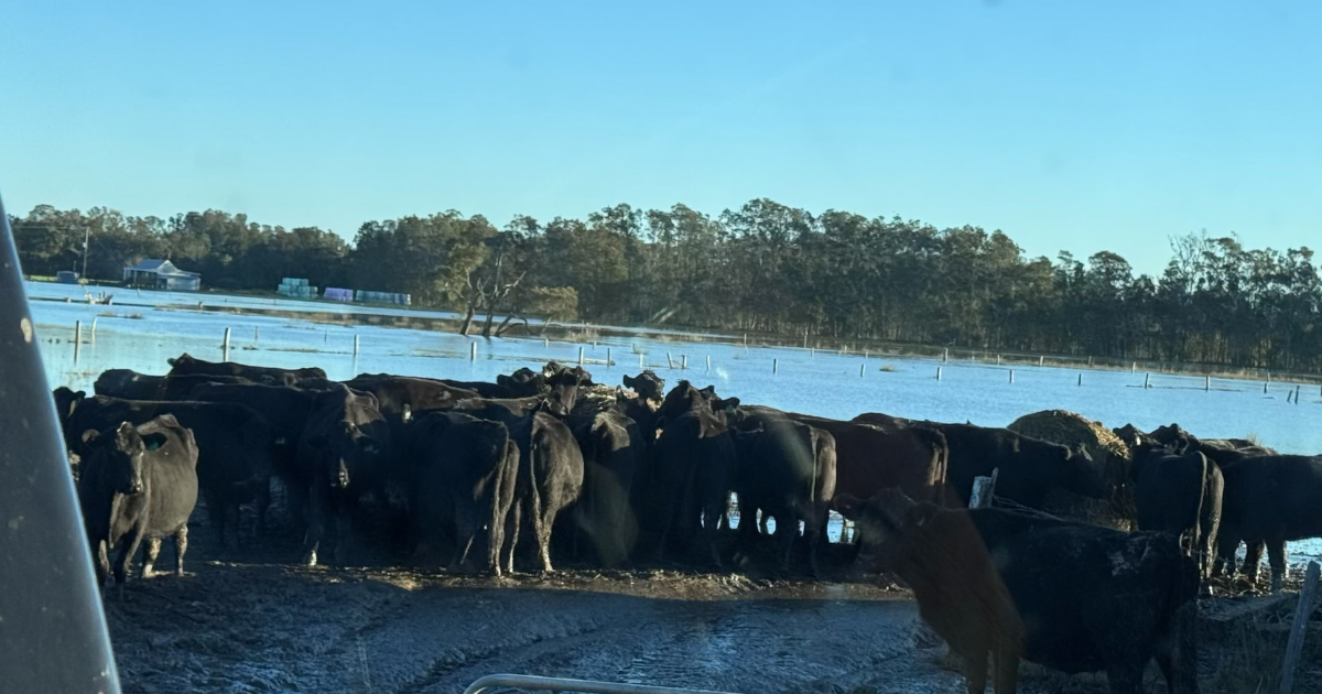 Not enough but still a "massive help": Flood impacted farmers can now ...