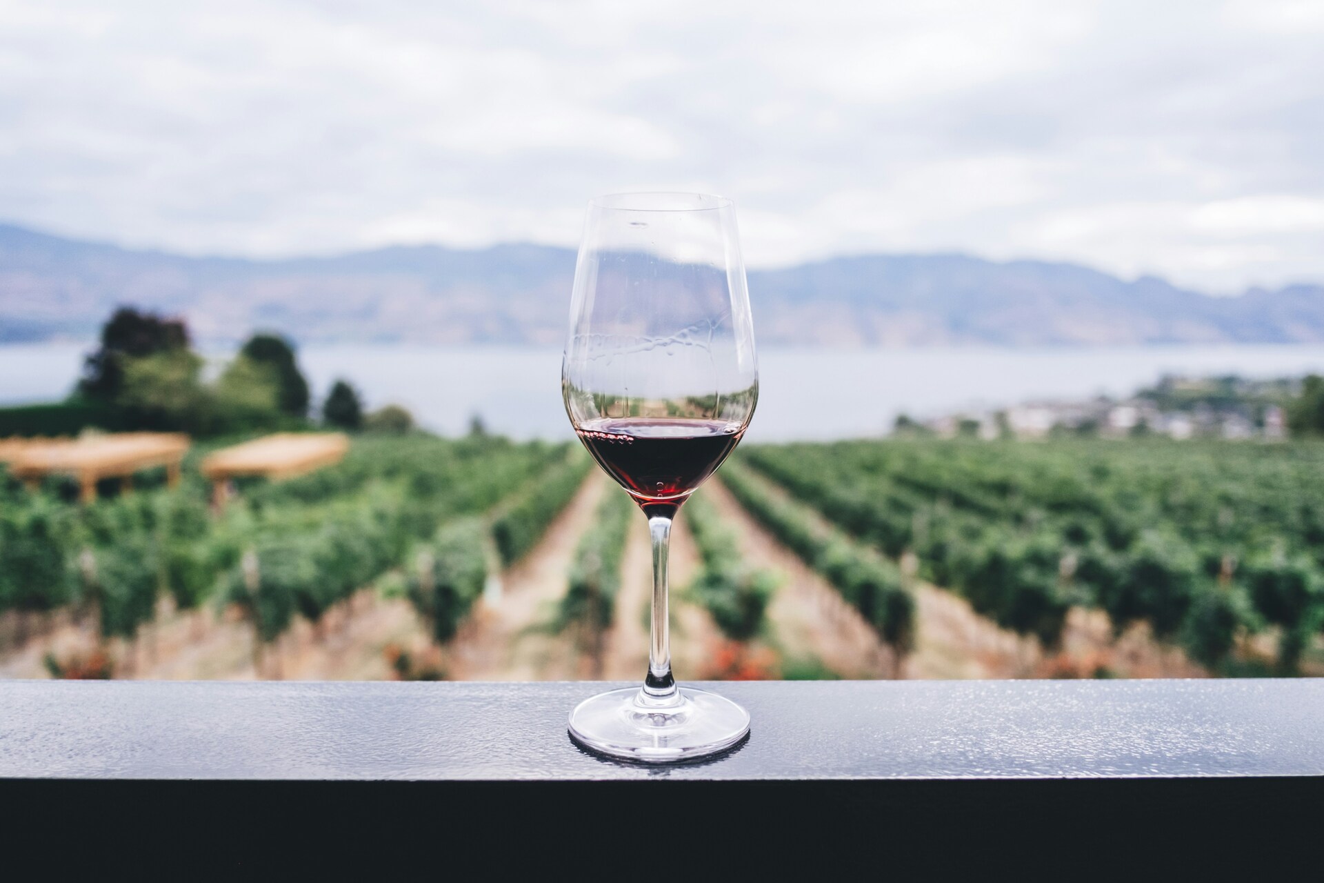 Victorian Alps Wine Company placed into voluntary administration and ...