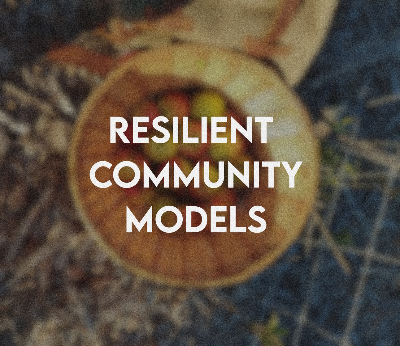 Resilient Community Models