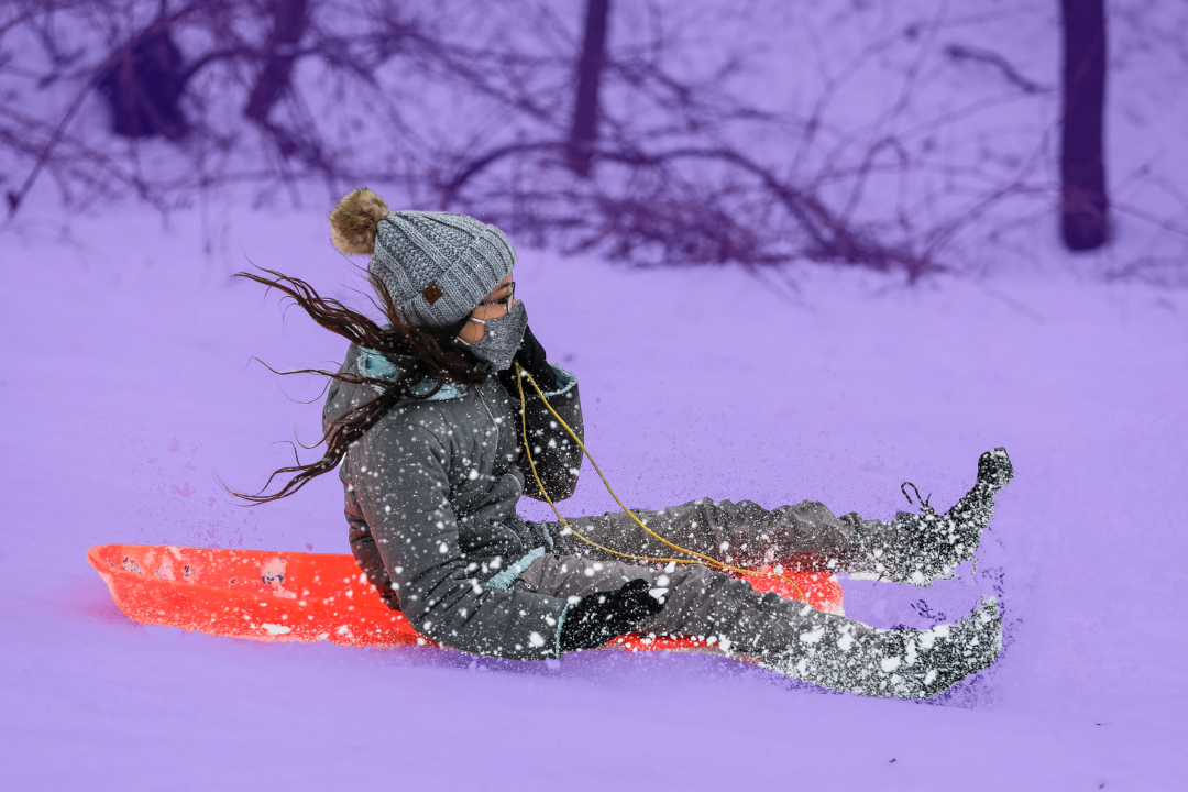 🎄 This gift under the tree is FREE