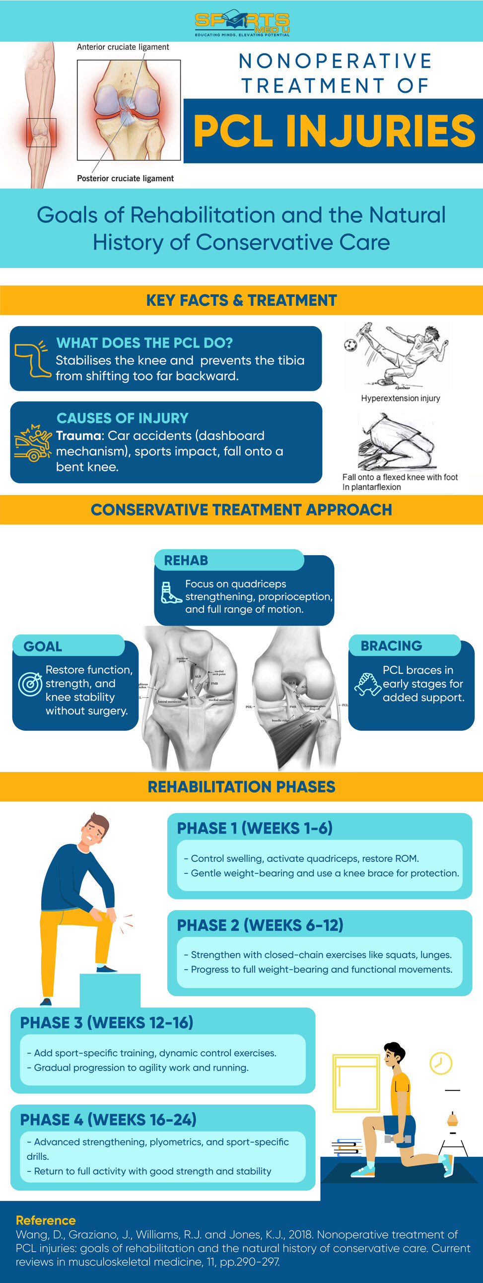Nonoperative Treatment of PCL Injuries