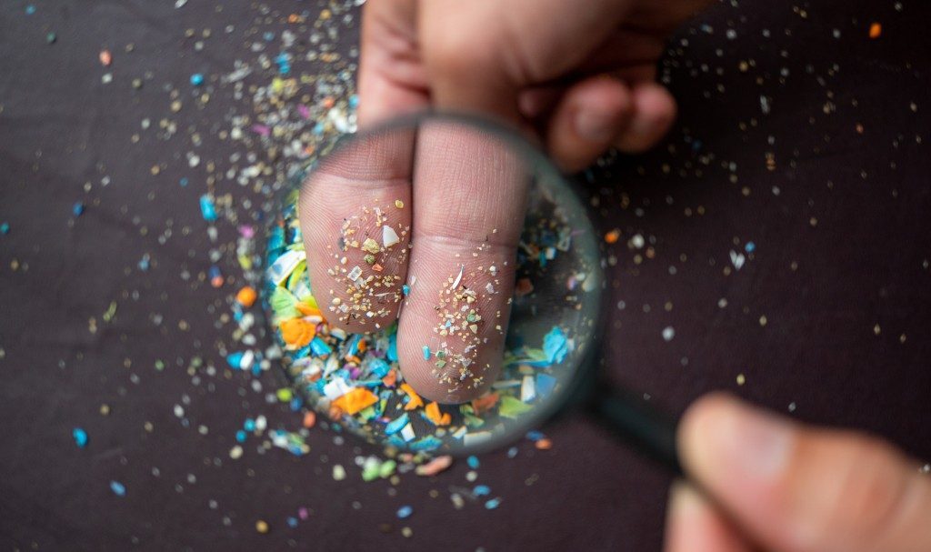 Forests can trap... microplastics? 🌳