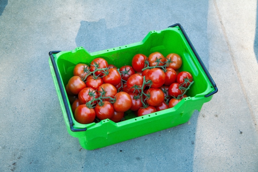 Perth's best dumpling joints