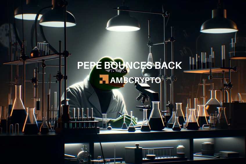 PEPE bounces back
