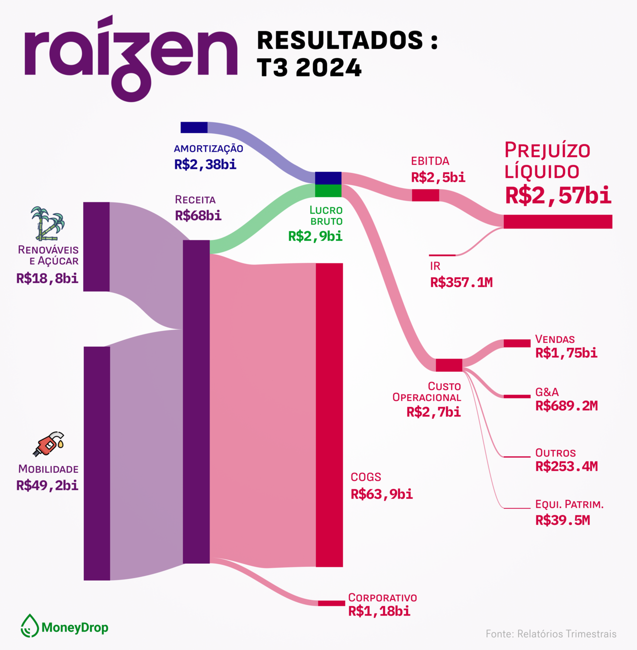 💰 Earnings Raízen: queima total de estoque