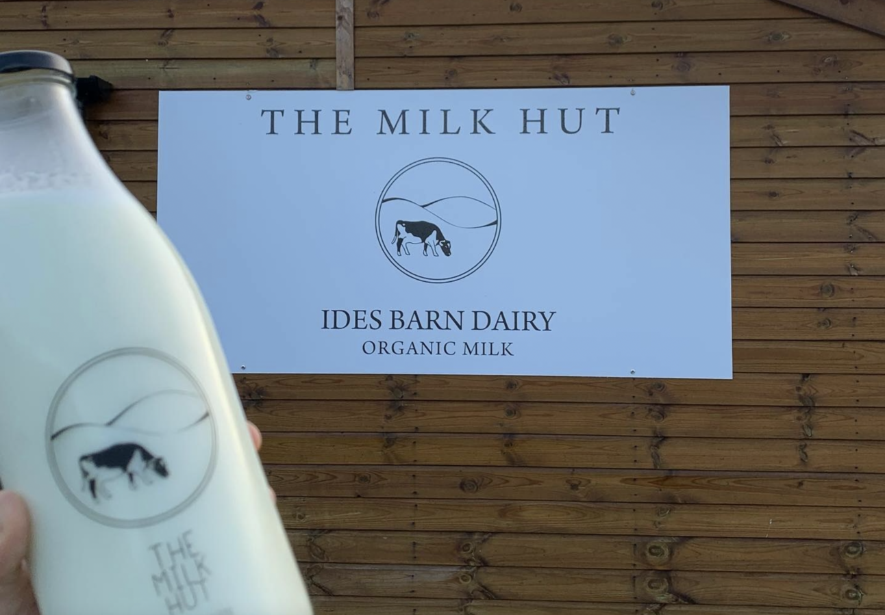 Screen on the Green, Milkshake Making & More