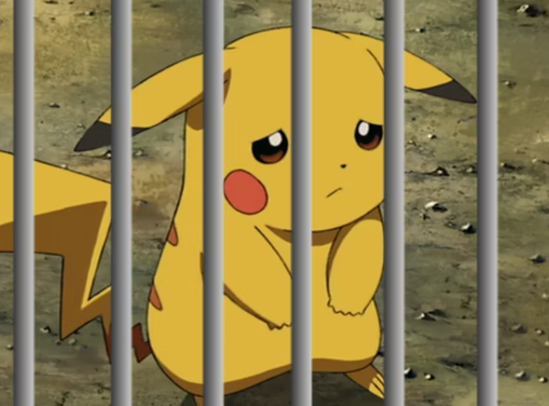 Worry About Humans Not Laws