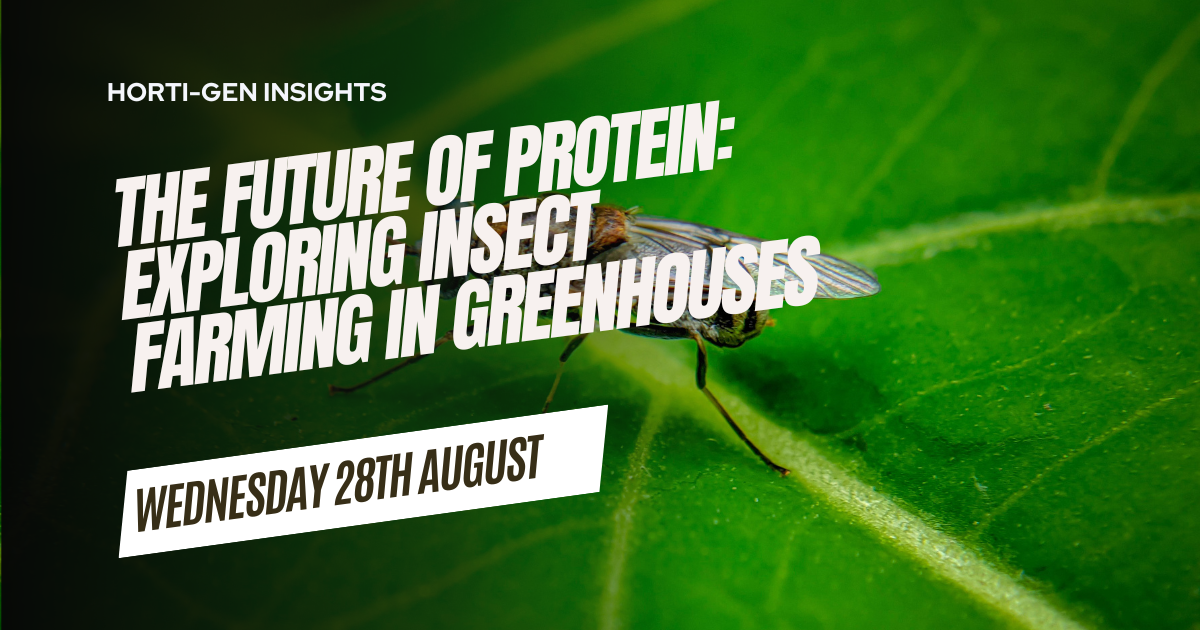Exploring Insect Farming in Greenhouses