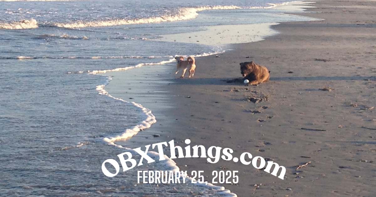 Things to Do on the OBX - February 25th
