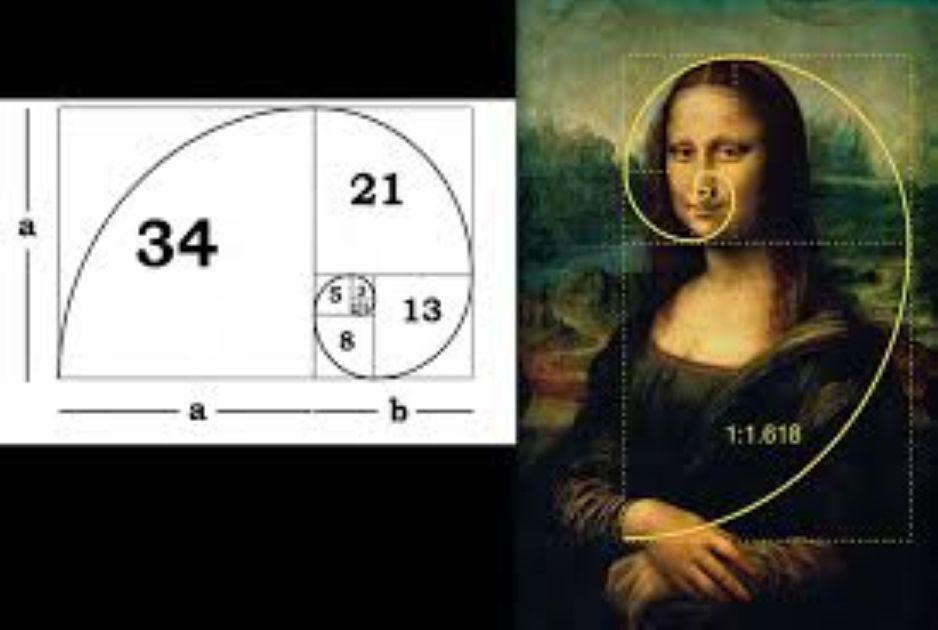 How to Use the Fibonacci Number Series