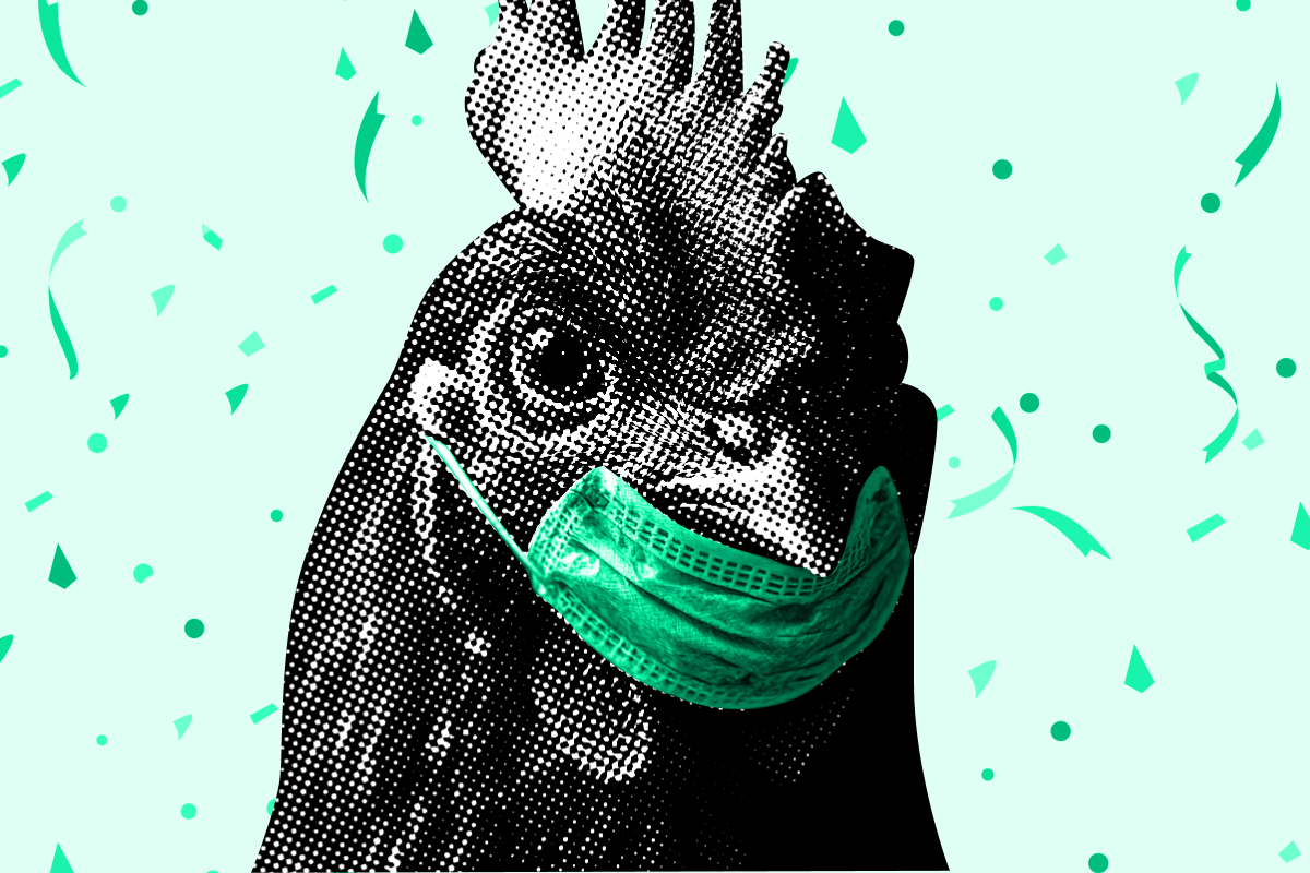 Happy flu year: How likely is an H5N1 pandemic in 2025?