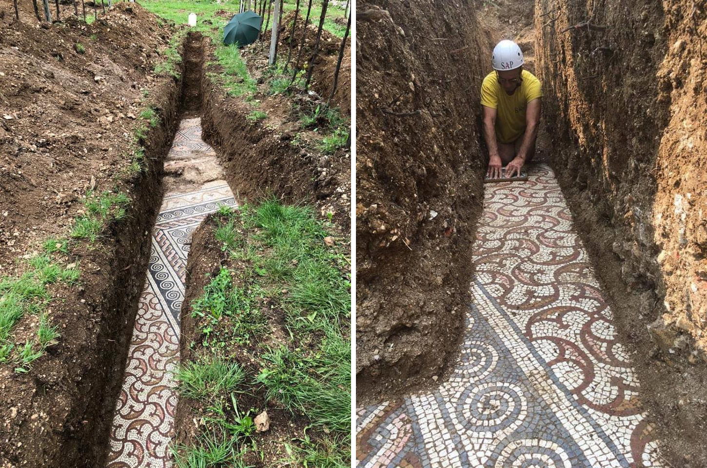 Stunning, Pristine Roman Tile Mosaic Unearthed from Vineyard