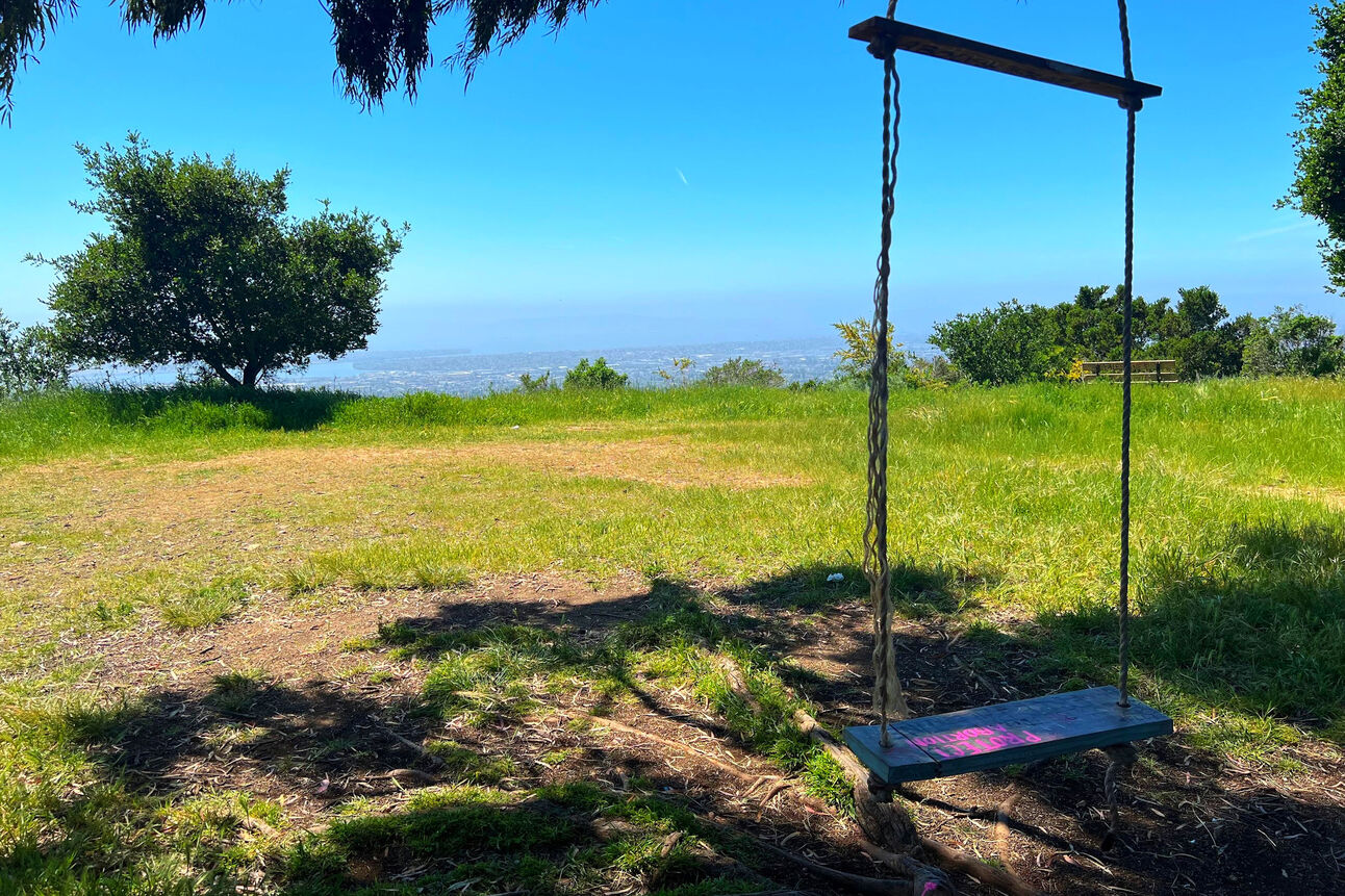 We Found a Hidden Swing with Panoramic Bay Views in Oakland