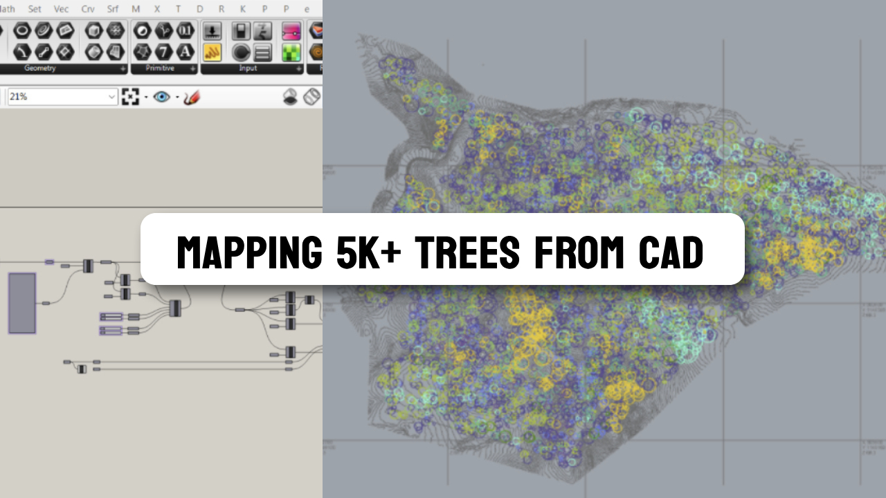 Mapping thousands of trees