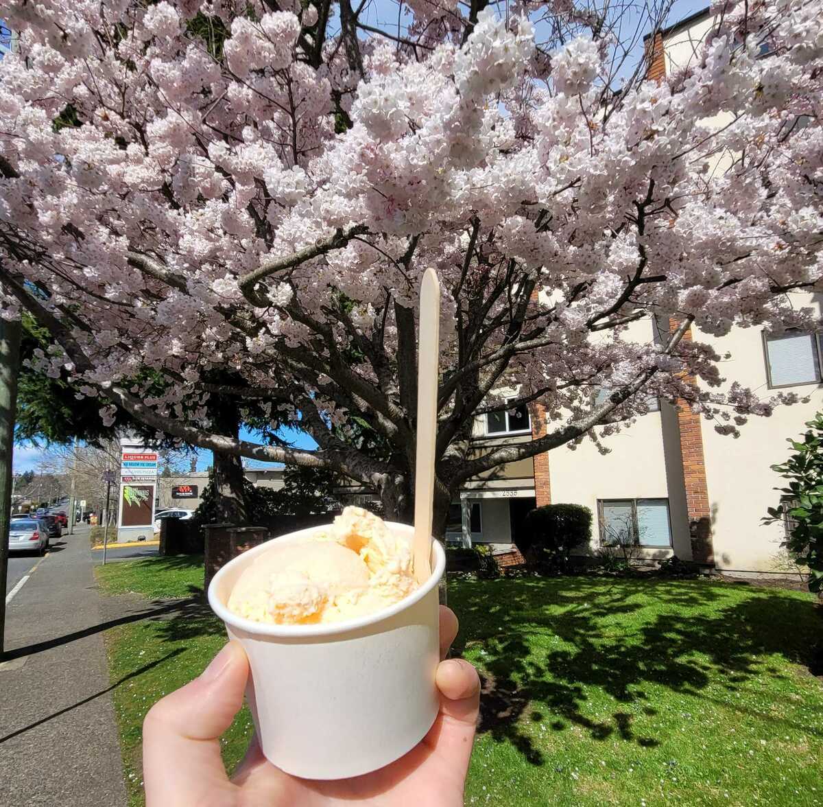 6 Victoria ice cream shops to visit this summer