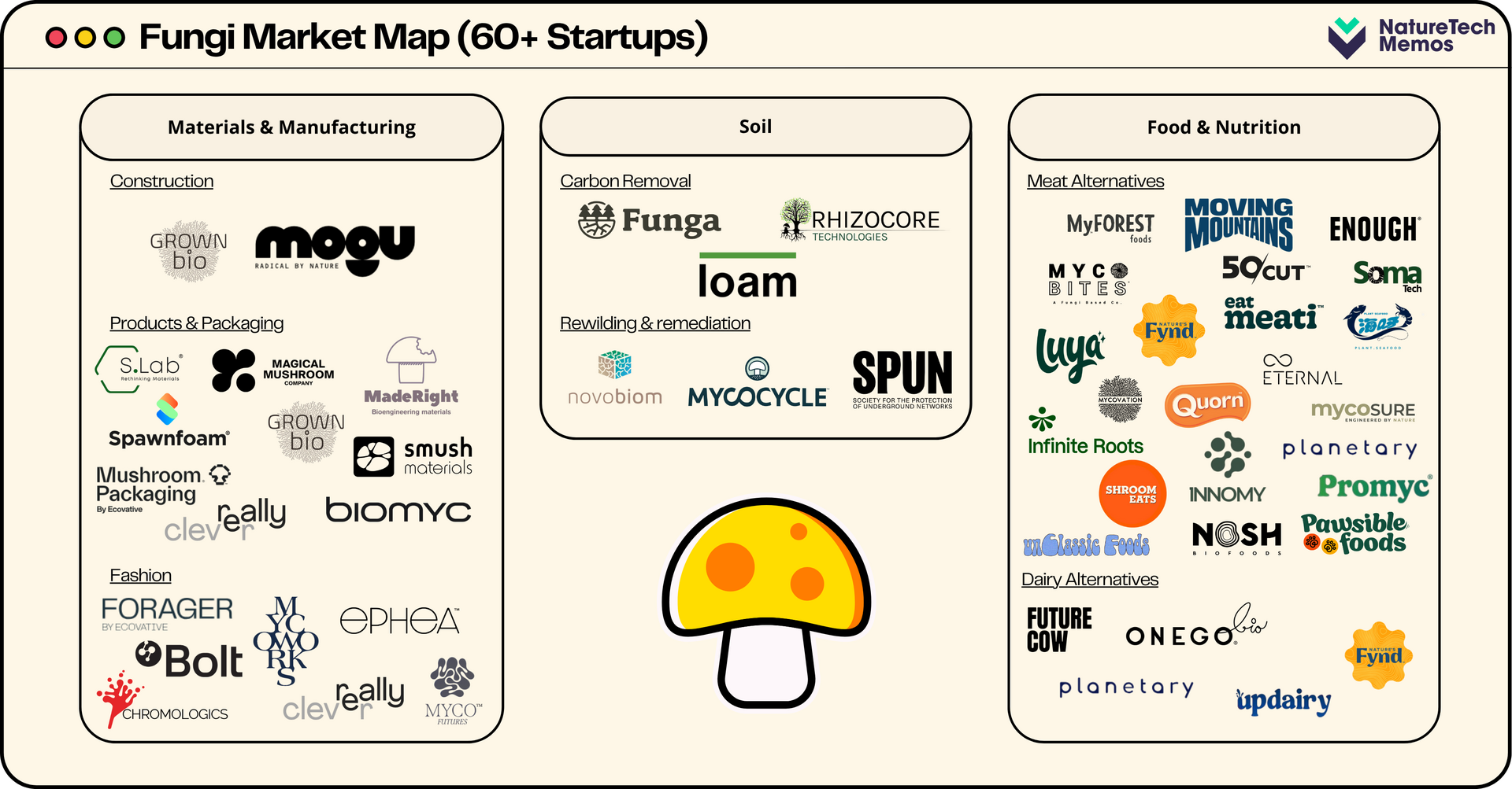 Top 10 Fungi Startups Transforming Materials, Food and Medicine in 2025