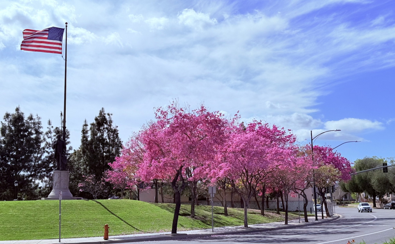 🌸 Spring, Sourdough, and AOC