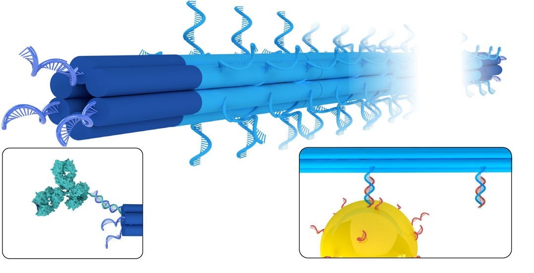 DNA Origami Boosts Rapid Test Sensitivity: Diagnostics Breakthrough!