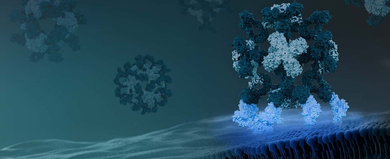 Descubrimiento de fármacos impulsado por IA 💊