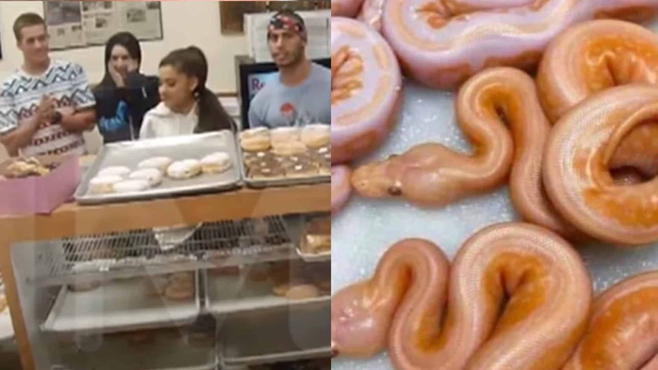 Why People are Freaking out about #DisgustingDonuts on Twitter