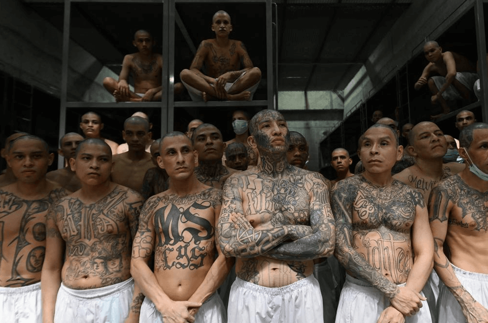 8 Cartels and Gangs Designated as Terrorist Groups by Trump Administration