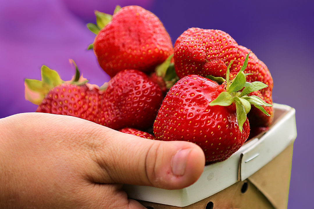🍓 Pick-your-own boo (and berries)
