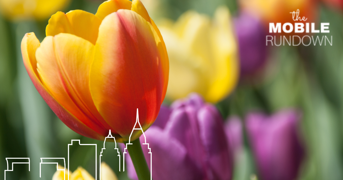 May is here, so it's time to get g(r)owing