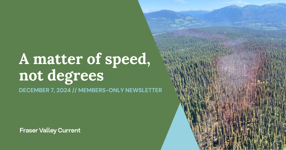 FVC Weekend Edition—A matter of speed