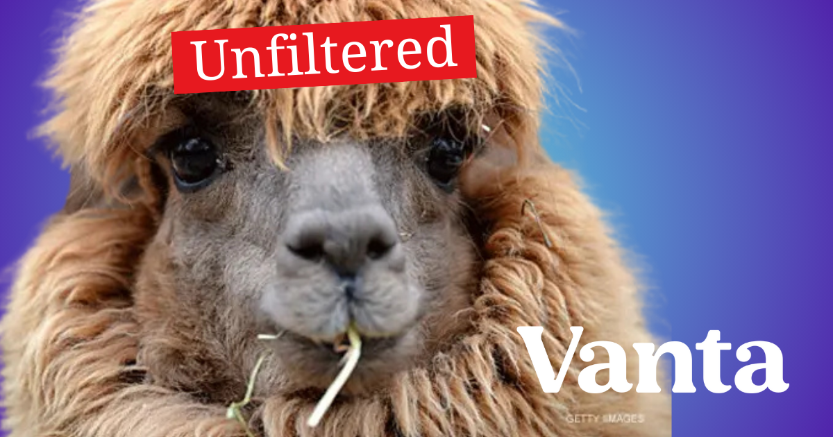 Unfiltered: The Details Behind Vanta's Meteoric Rise