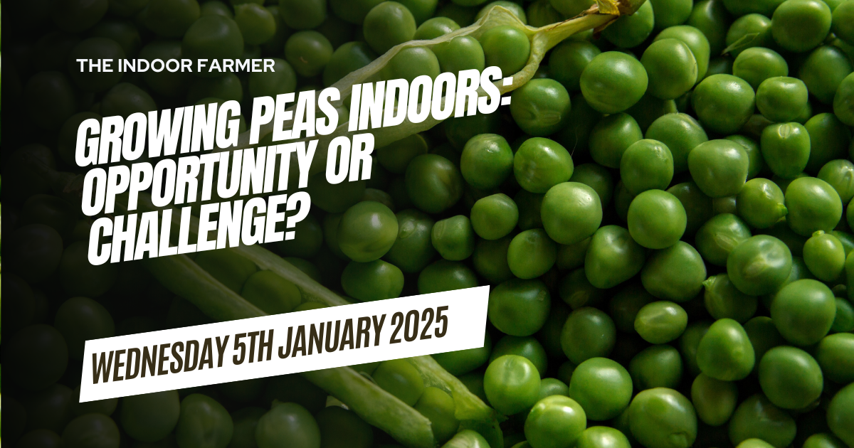 Growing Peas Indoors: Opportunity or Challenge?