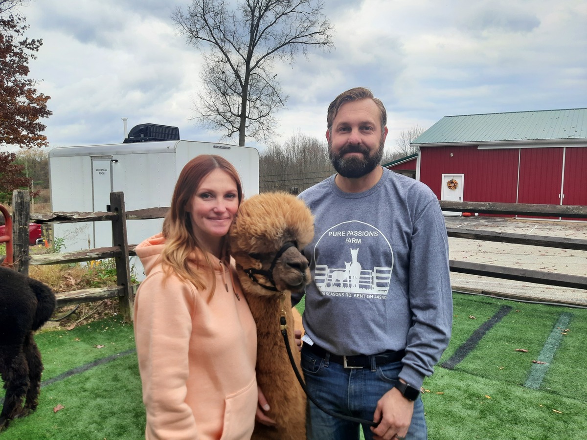 Stow couple launches a new alpaca ranch, Pure Passions Farm | The Spotlight